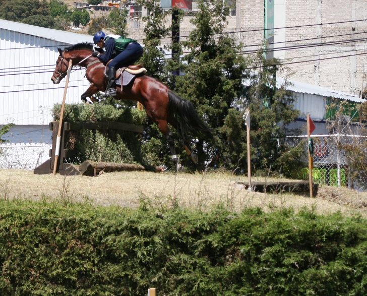Houston. Selectivo Centroamericano y del Caribe – Montando